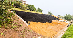 Home - Enviromental Barriers